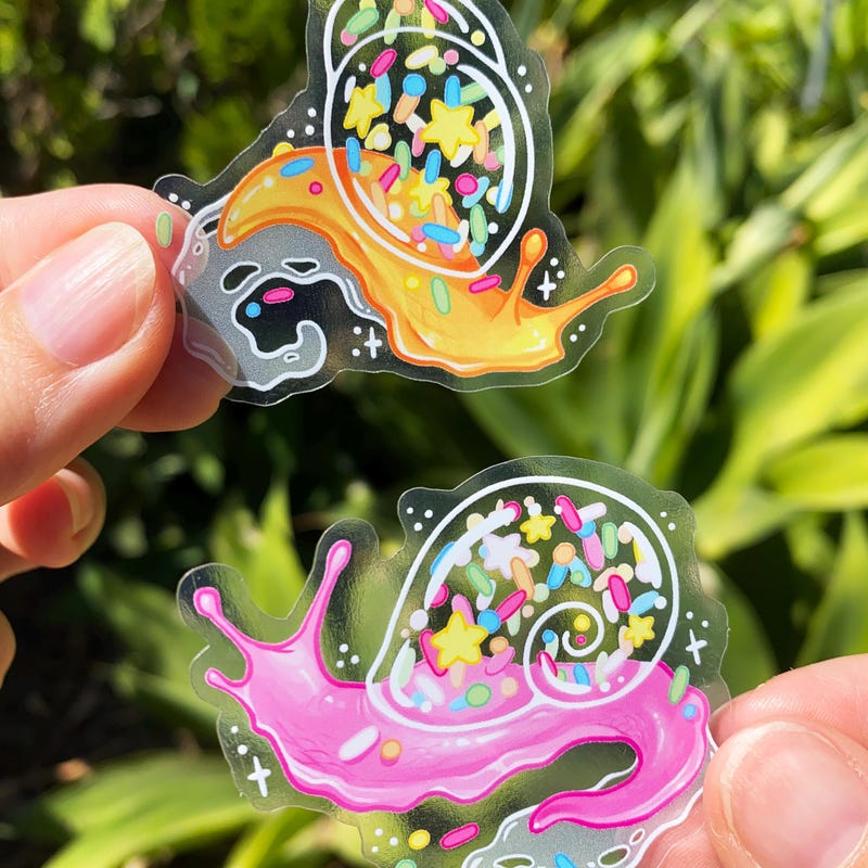 Snail Clear Sticker - Etsy