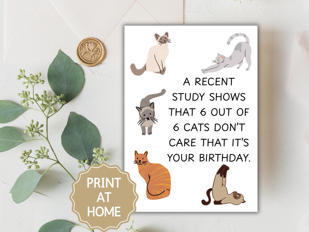Funny Cat Printable Birthday Card, Kitty Dry Humor Card, Funny Bday ...