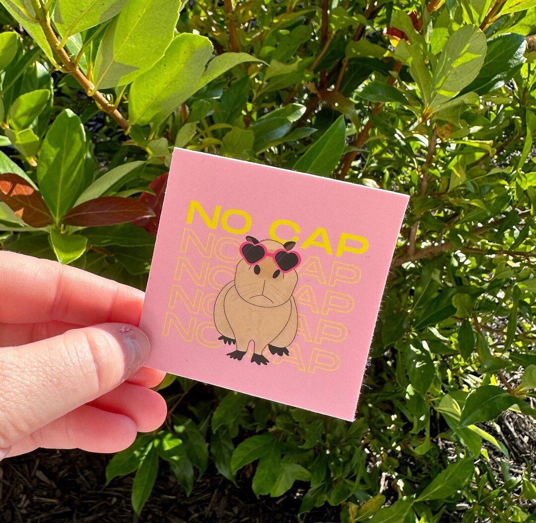 Chill Capybara 'no Cap' Sticker - for a Laid-back Vibe - Etsy