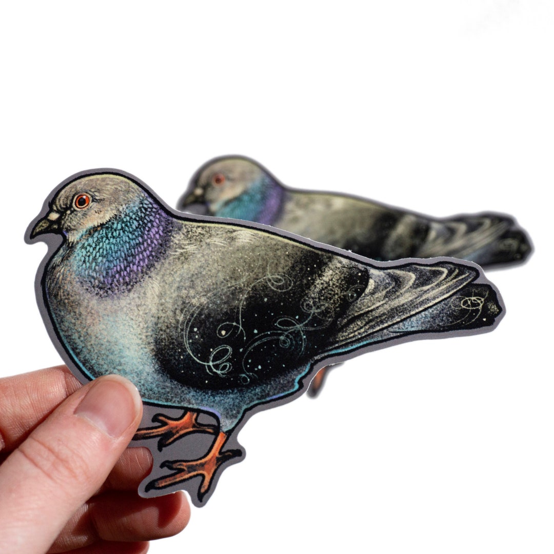 BIG PIGEON Sticker Magical Pigeon Sticker / Glossy Vinyl Sticker ...
