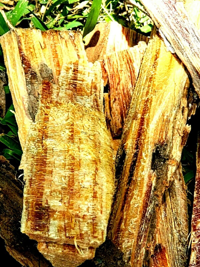 5lbs North Carolina Fatwood Natural Pine Fire Starter Fat Wood Survival ...