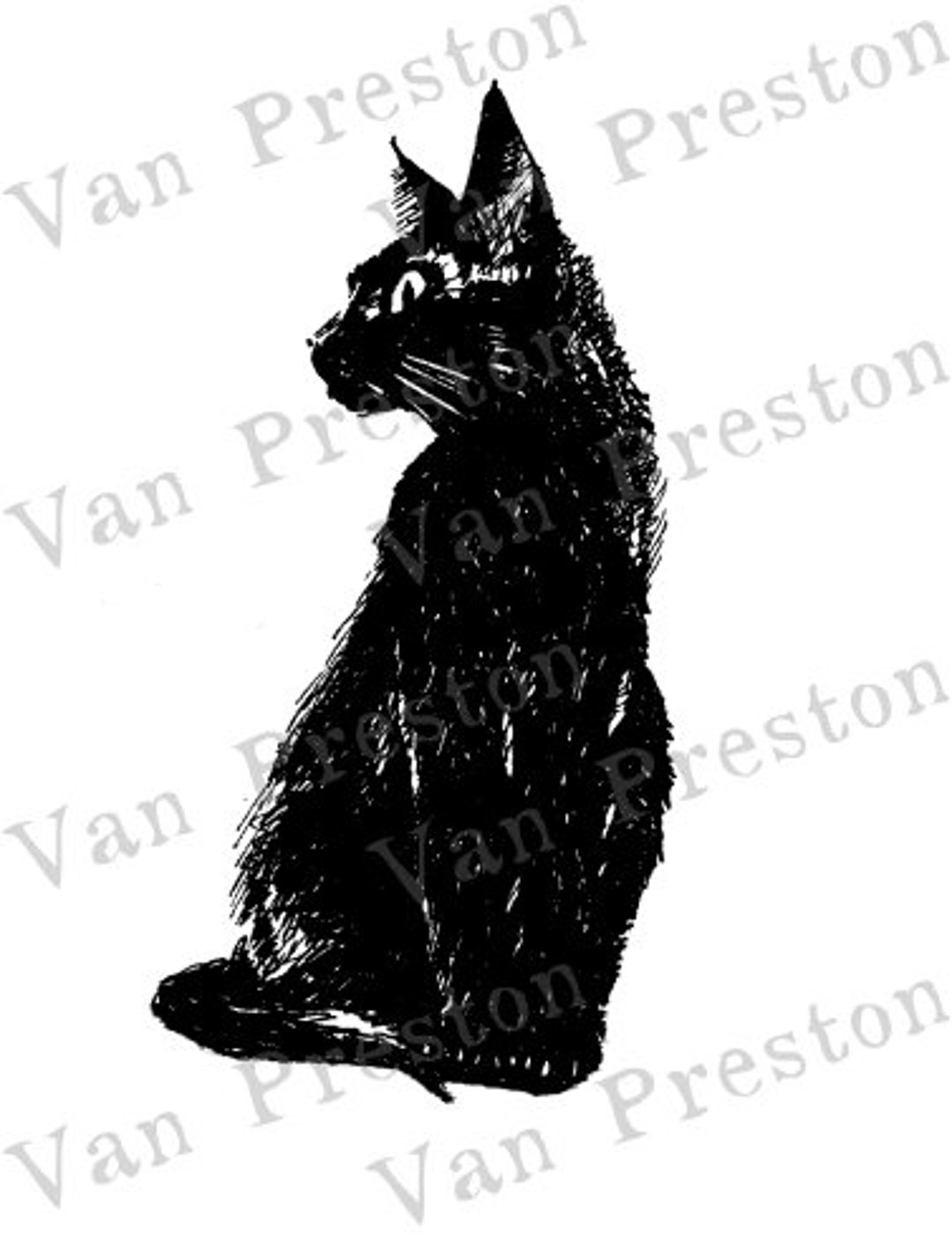 Black Cat Drawing Illustration High Resolution Digital 300DPI Scan of ...