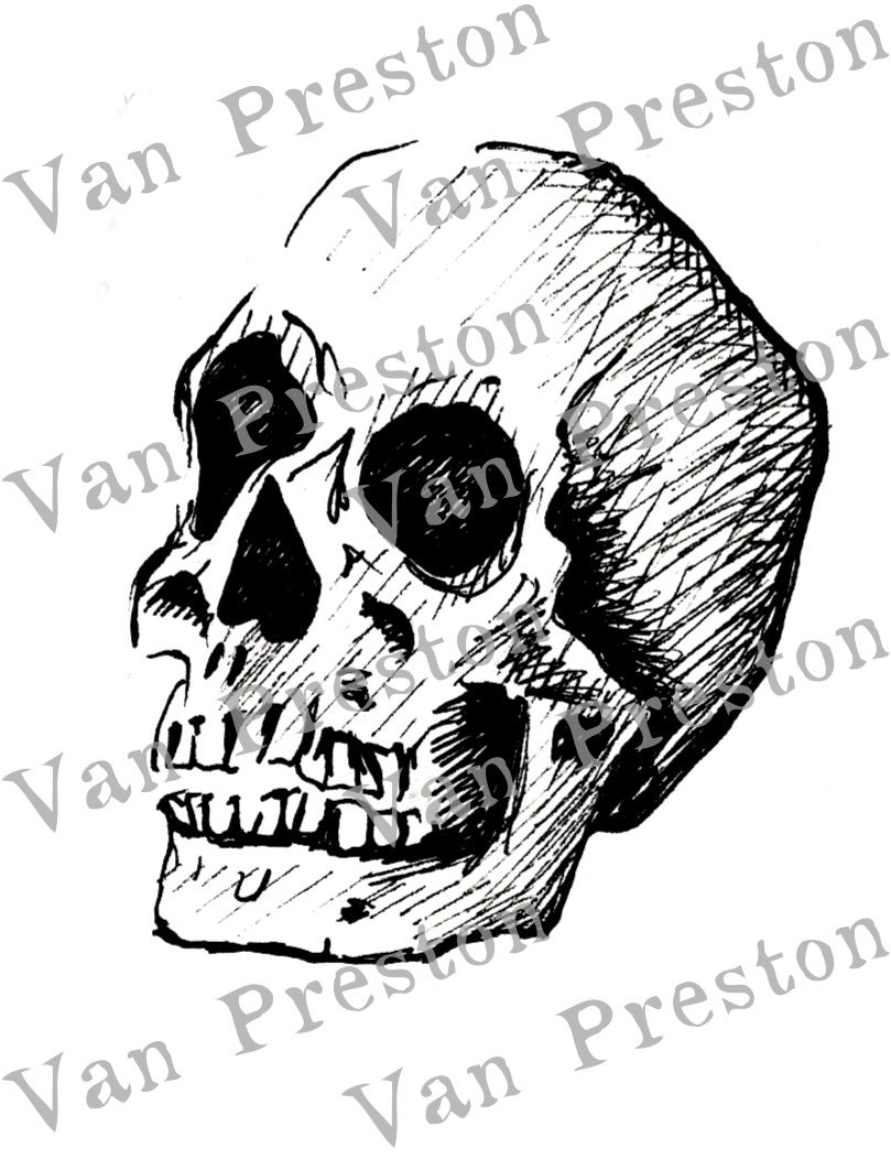 9 Skulls Collection Printable Illustrations Digital Human Animal Pen ...