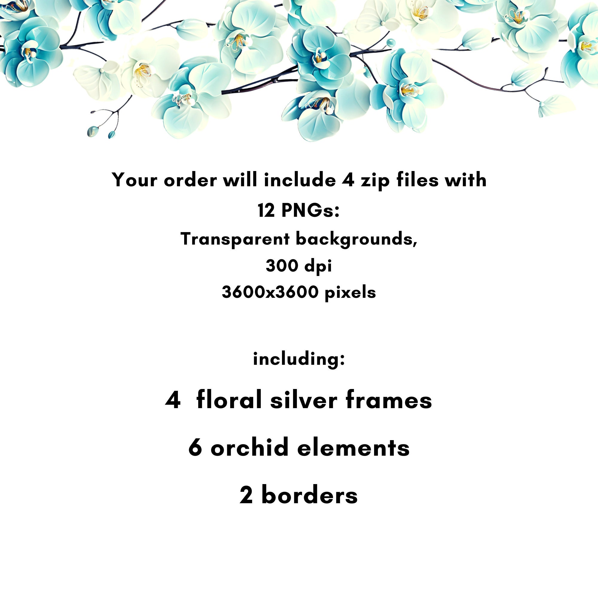 Floral Frames Orchid Clipart Blue Silver Flower Border Elements Wedding ...