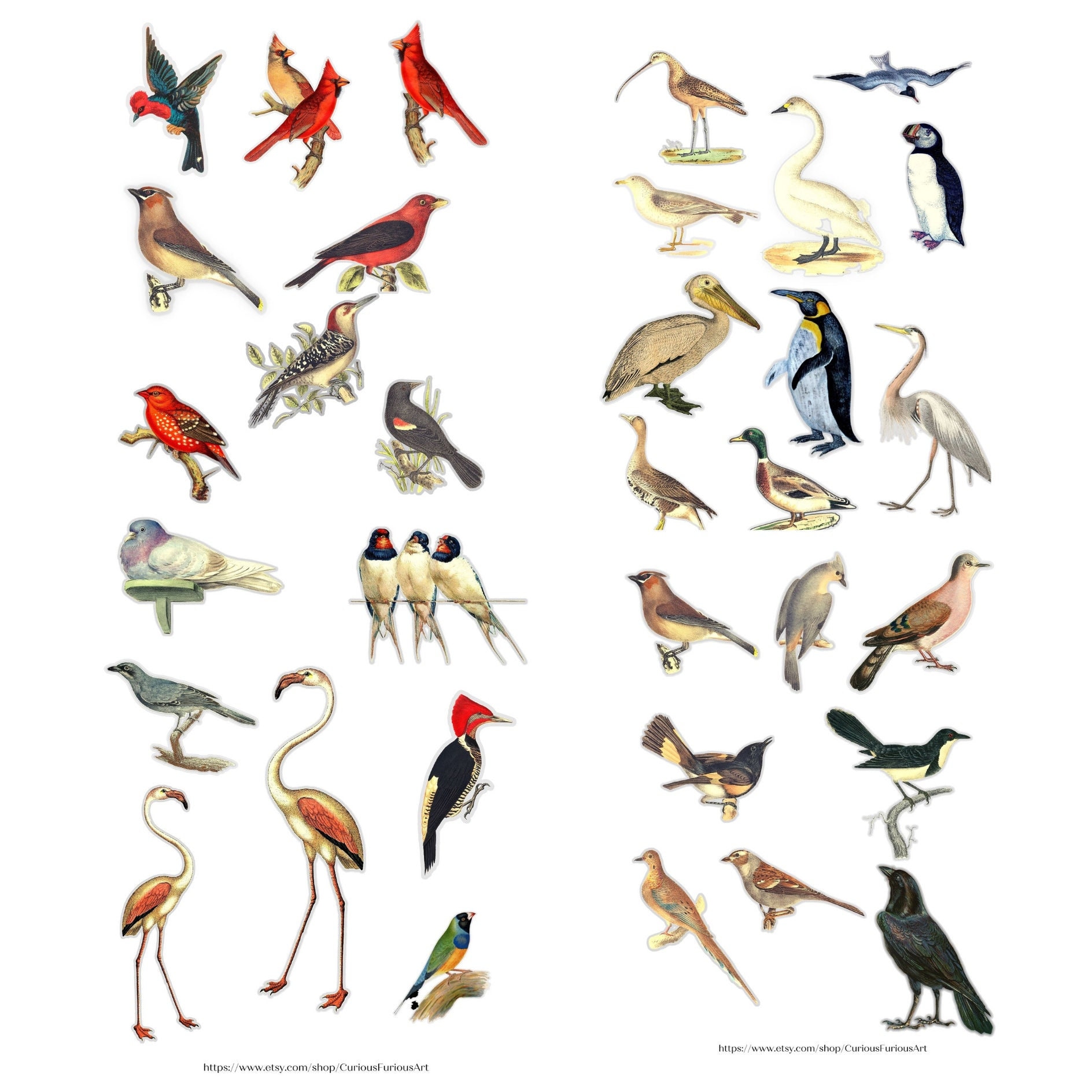 Fussy Cut Birds Bees Printable Cut Outs Scrapbook Junk Journal - Etsy