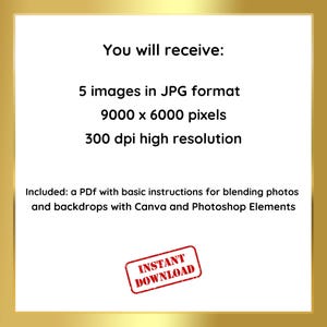 Digital Backdrop Cake Smash Birthday Party Background Boys Girls Cowboy ...