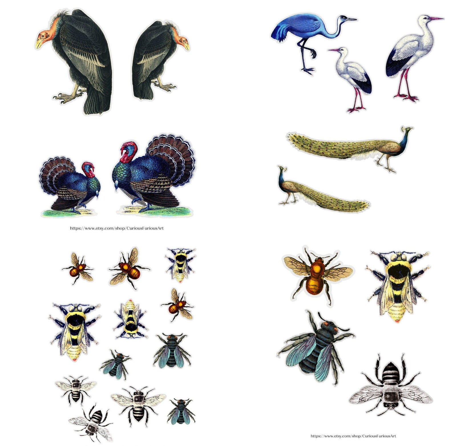 Fussy Cut Birds Bees Printable Cut Outs Scrapbook Junk Journal - Etsy