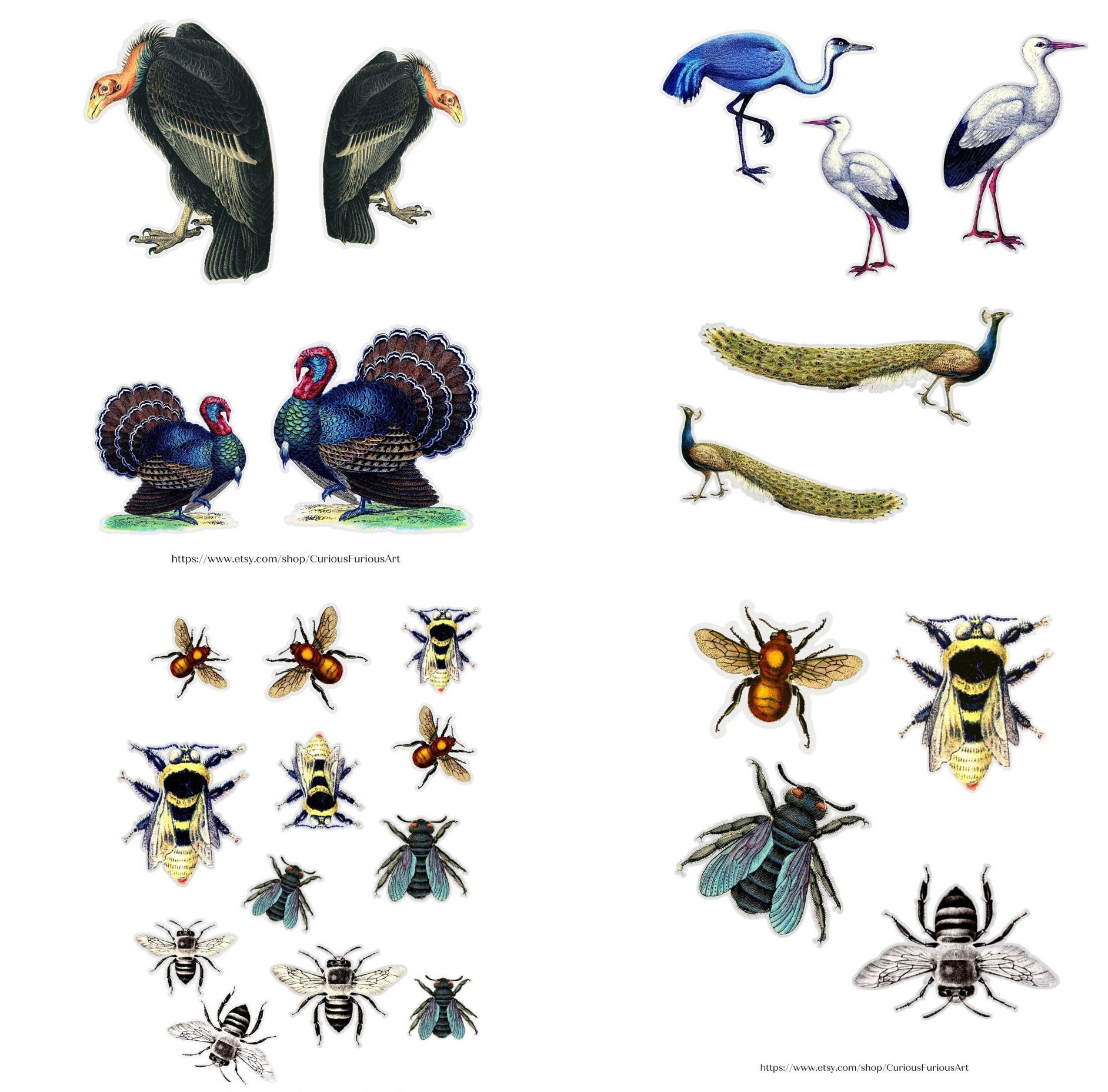 Fussy Cut Birds Bees Printable Cut Outs Scrapbook Junk Journal Digital ...