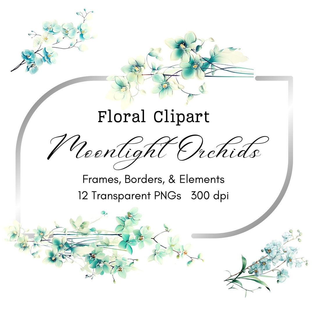 Floral Frames Orchid Clipart Blue Silver Flower Border Elements Wedding ...