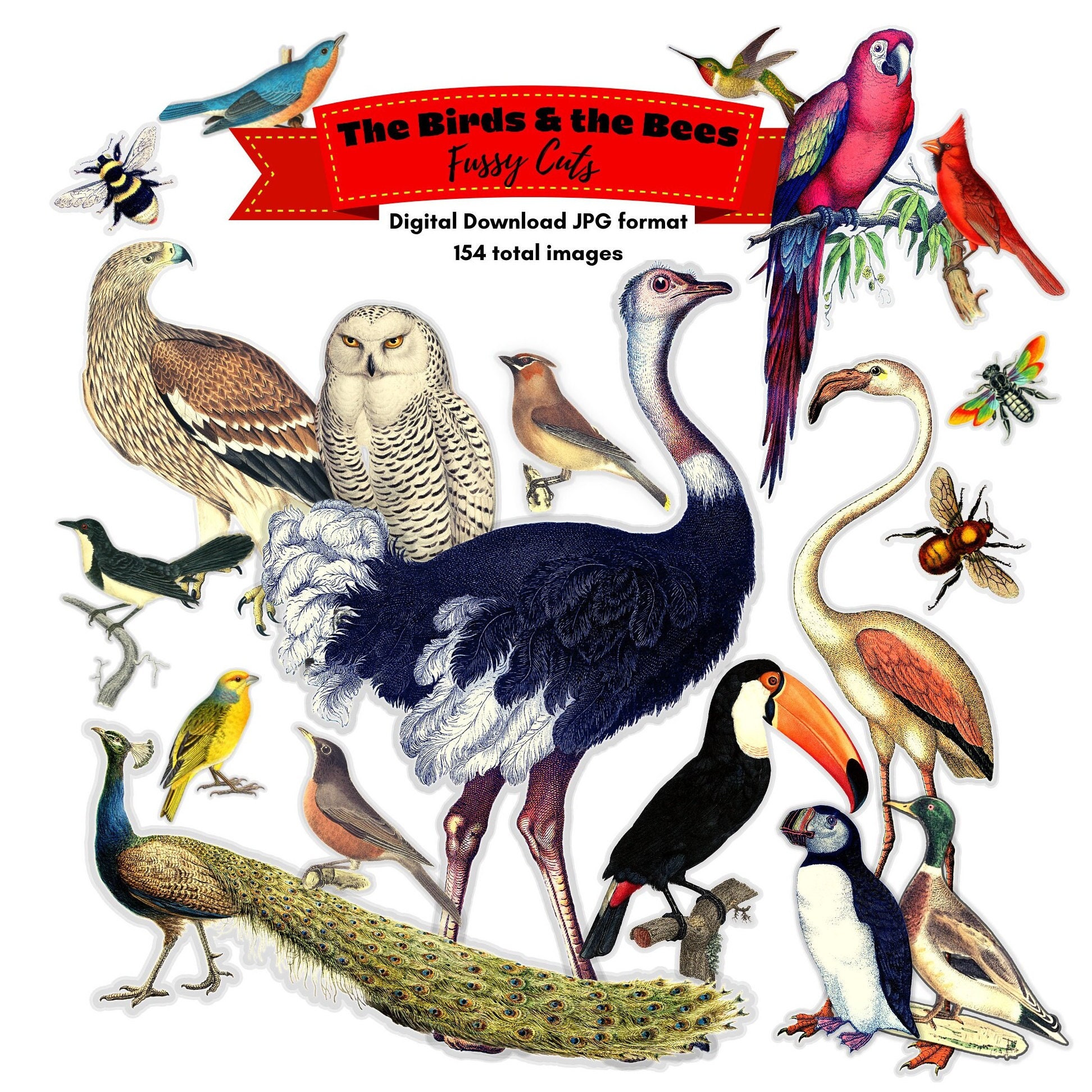 Fussy Cut Birds Bees Printable Cut Outs Scrapbook Junk Journal Digital ...