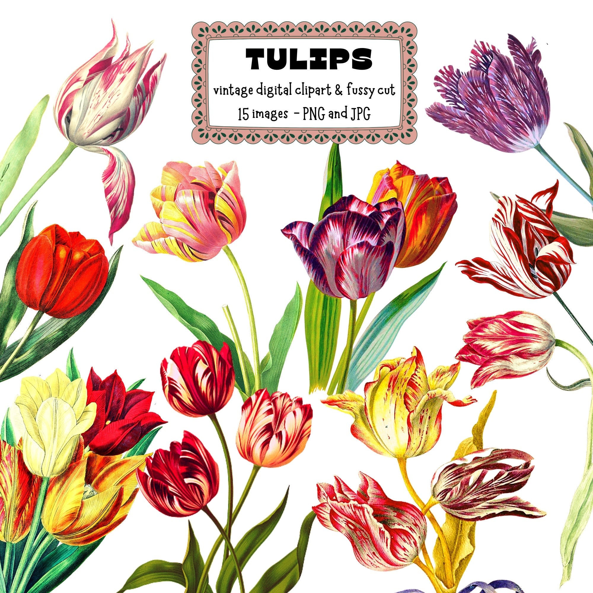 TULIPS Clipart Tulip Fussy Cuts Vintage Flower Art Transparent PNG and ...