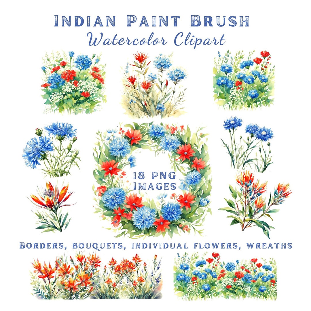 Indian Paint Brush Watercolor Clipart: Floral Borders & Bouquets (PNG ...