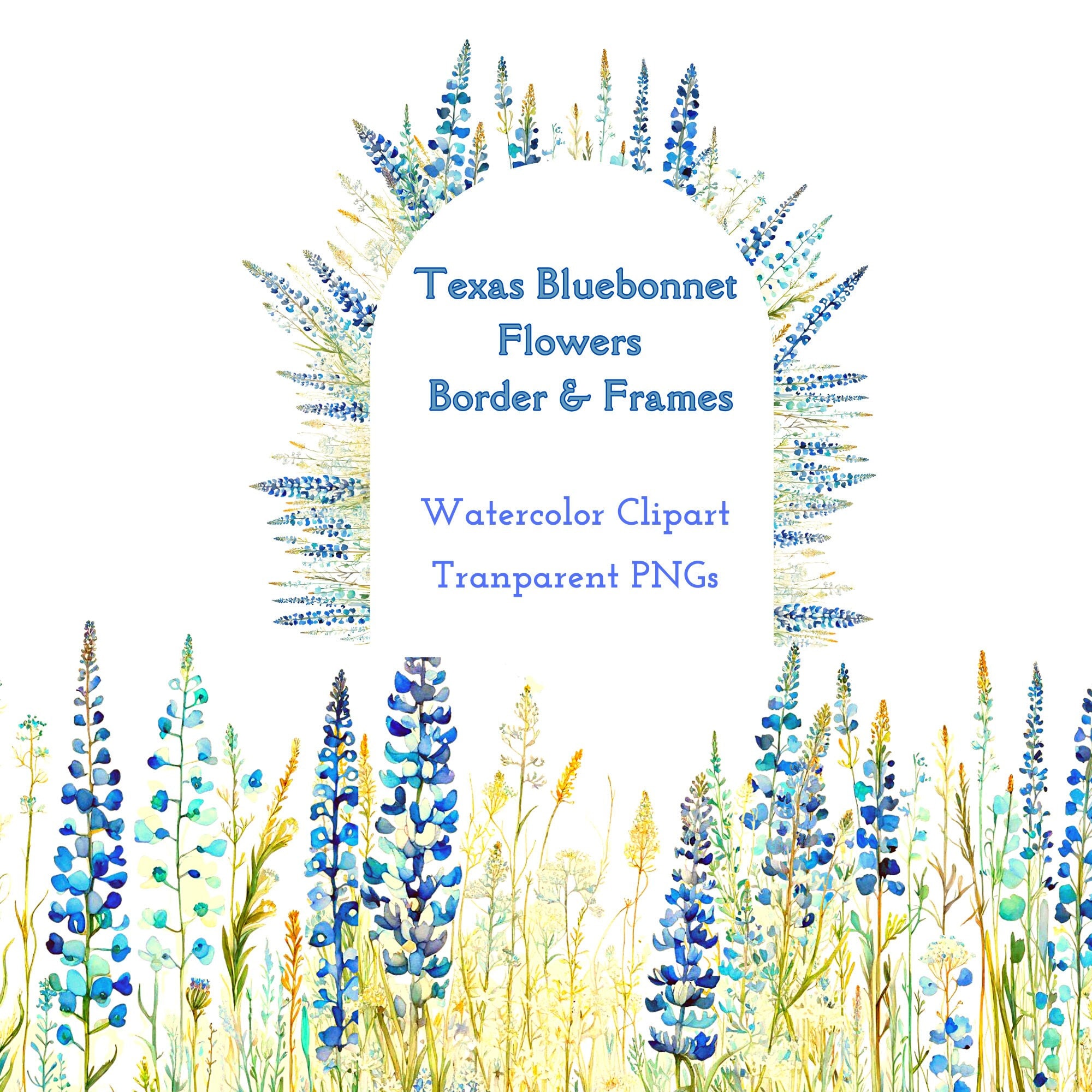 Texas Bluebonnet Wildflower Border Frame Watercolor Clipart Seamless ...