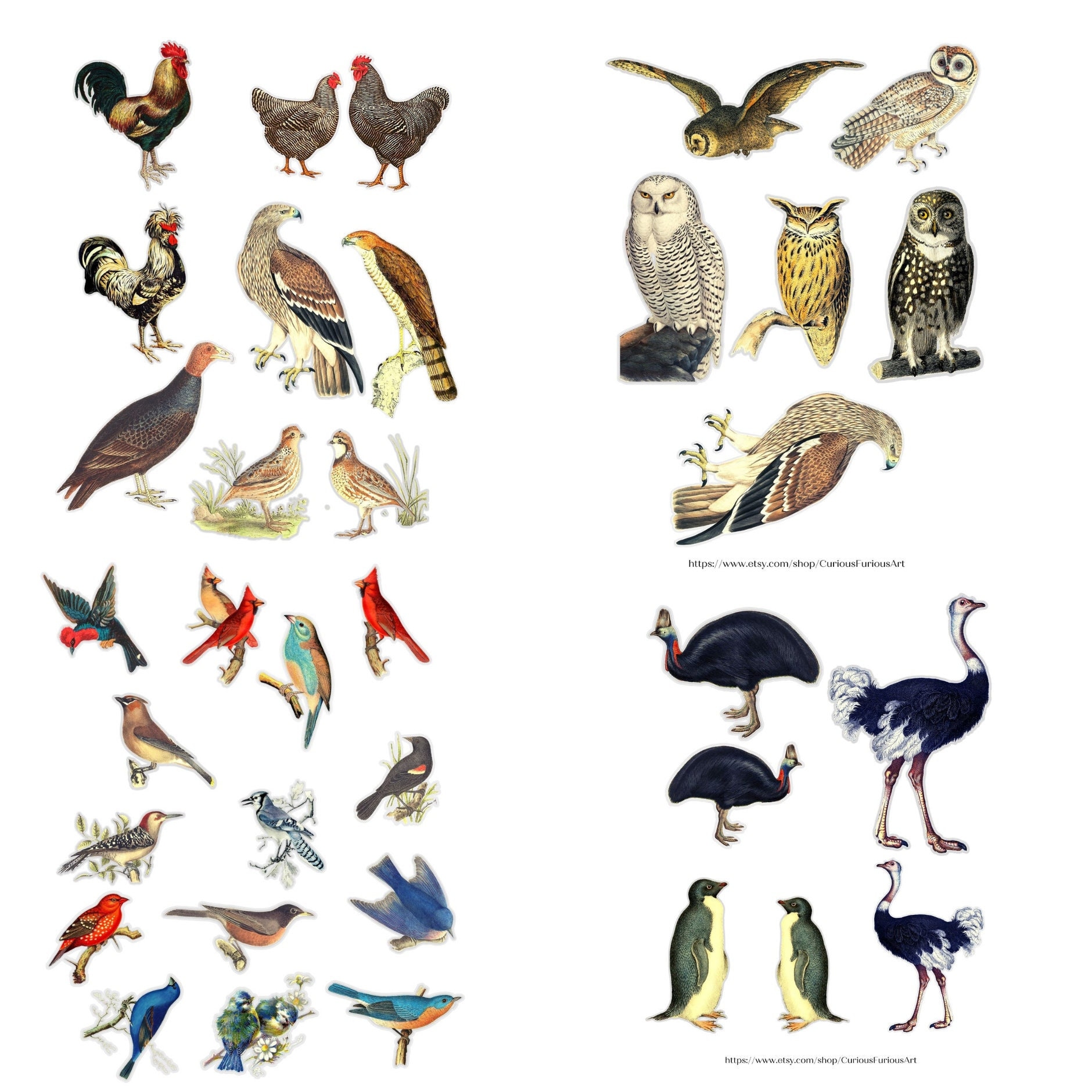 Fussy Cut Birds Bees Printable Cut Outs Scrapbook Junk Journal Digital ...