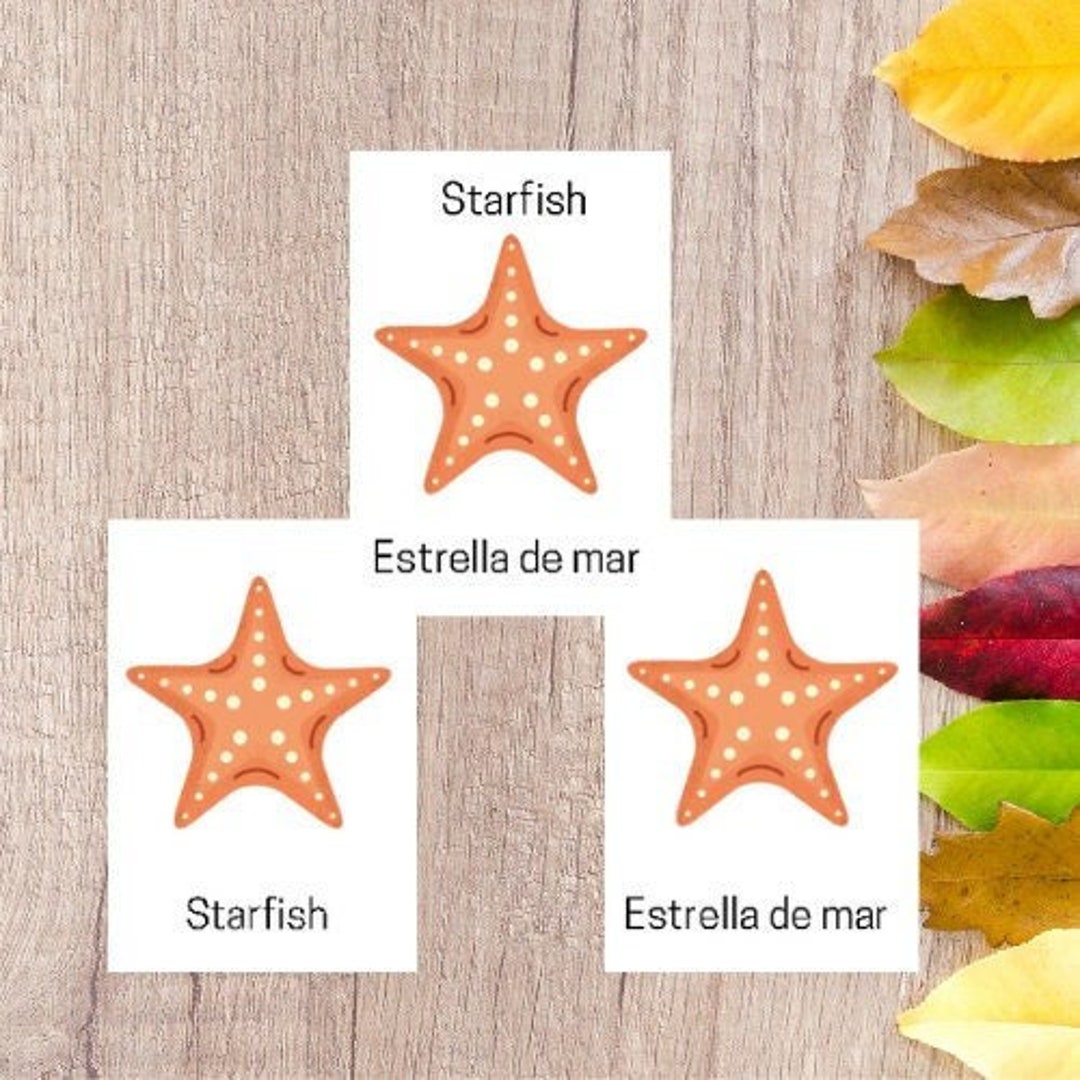 Sea Animals Flashcards / Printable English-spanish-bilingual Flashcards ...