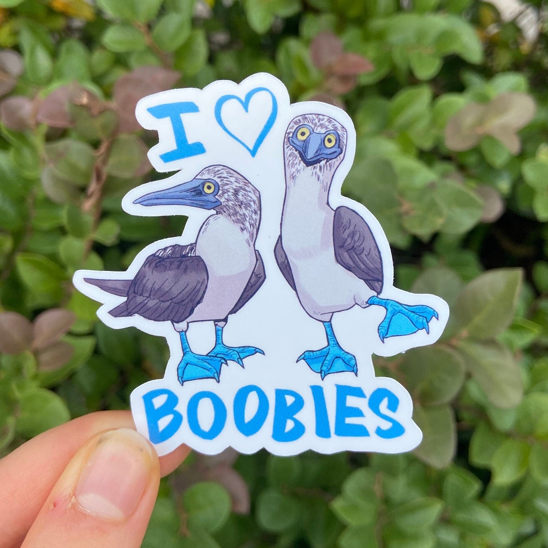 Blue Footed Boobies Sticker - Etsy