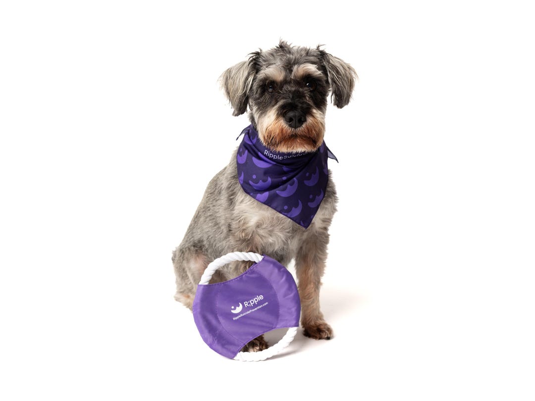 Ripple Dog Frisbee - Etsy