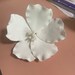 3 Flowers Set / Gum Paste - Etsy