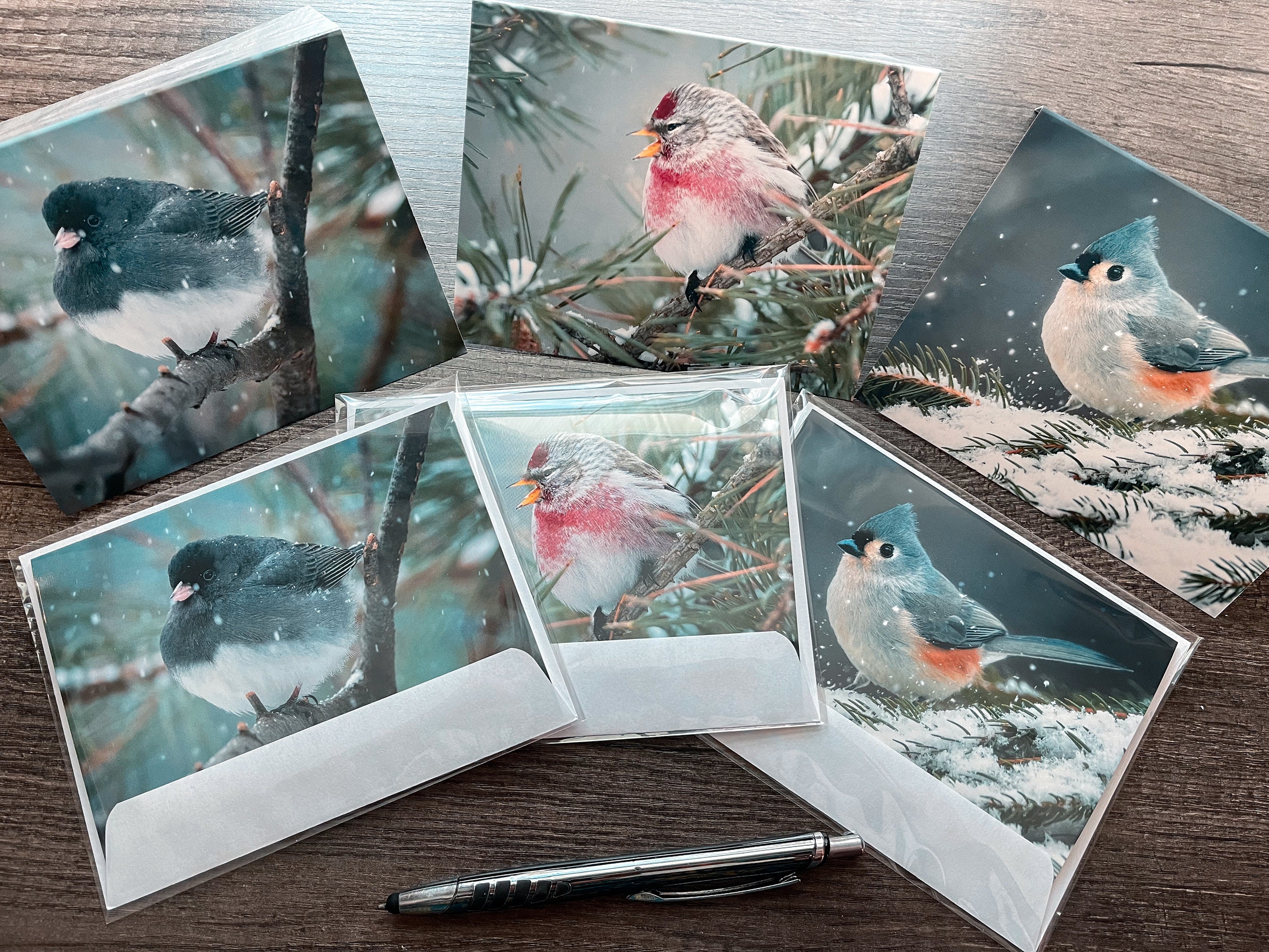 Michigan Backyard Birds Note Cards 3-pack Blank Inside Free Shipping - Etsy