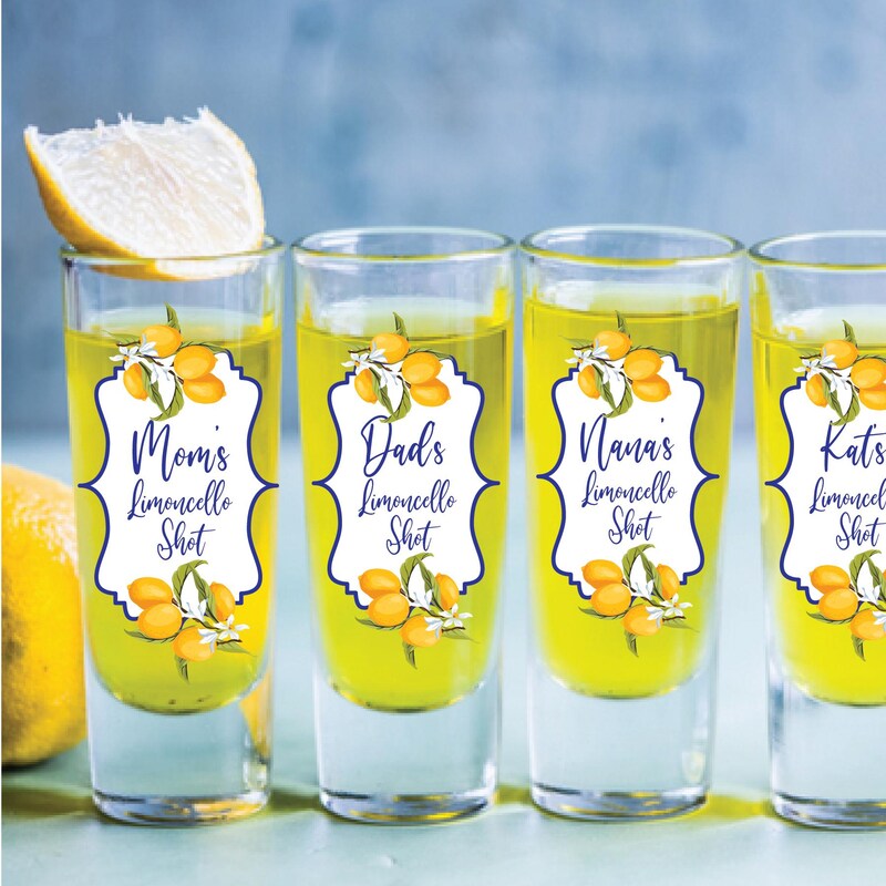 Shot Glasses Etsy