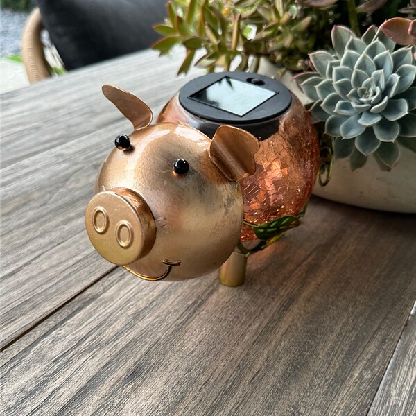 Solar Garden Lights - Etsy