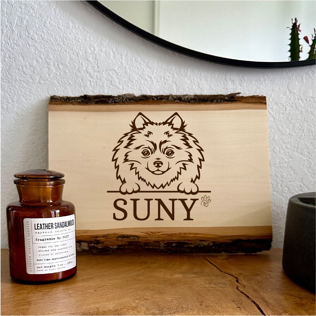 Personalized Dog Sign, Dog Name Wooden Sign, Pet Decor, Dog Paw Sign ...