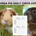 Guinea Pig Daily Checklist, Care Planner, Diet Tracker, Guinea Pig ...