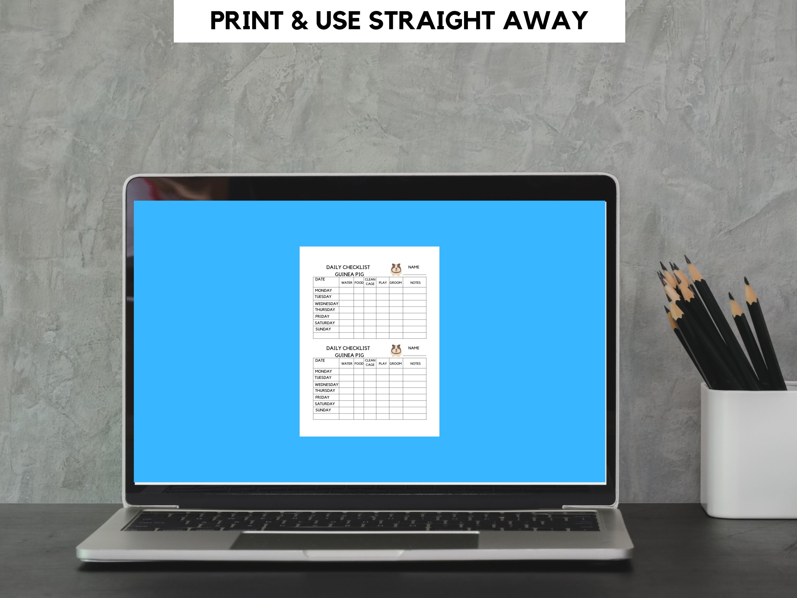 Guinea Pig Daily Checklist, Care Planner, Diet Tracker, Guinea Pig ...