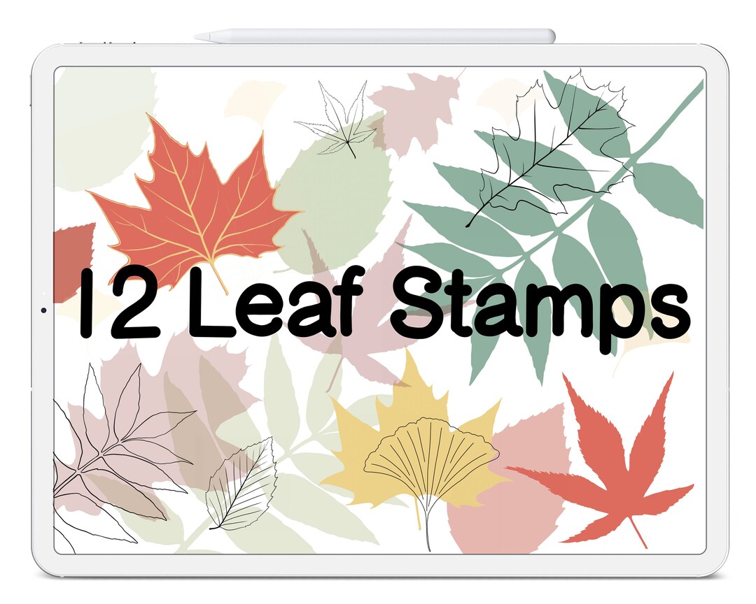 Autumn Fall Leaves Stamps Procreate Leave Stamps Autumn - Etsy
