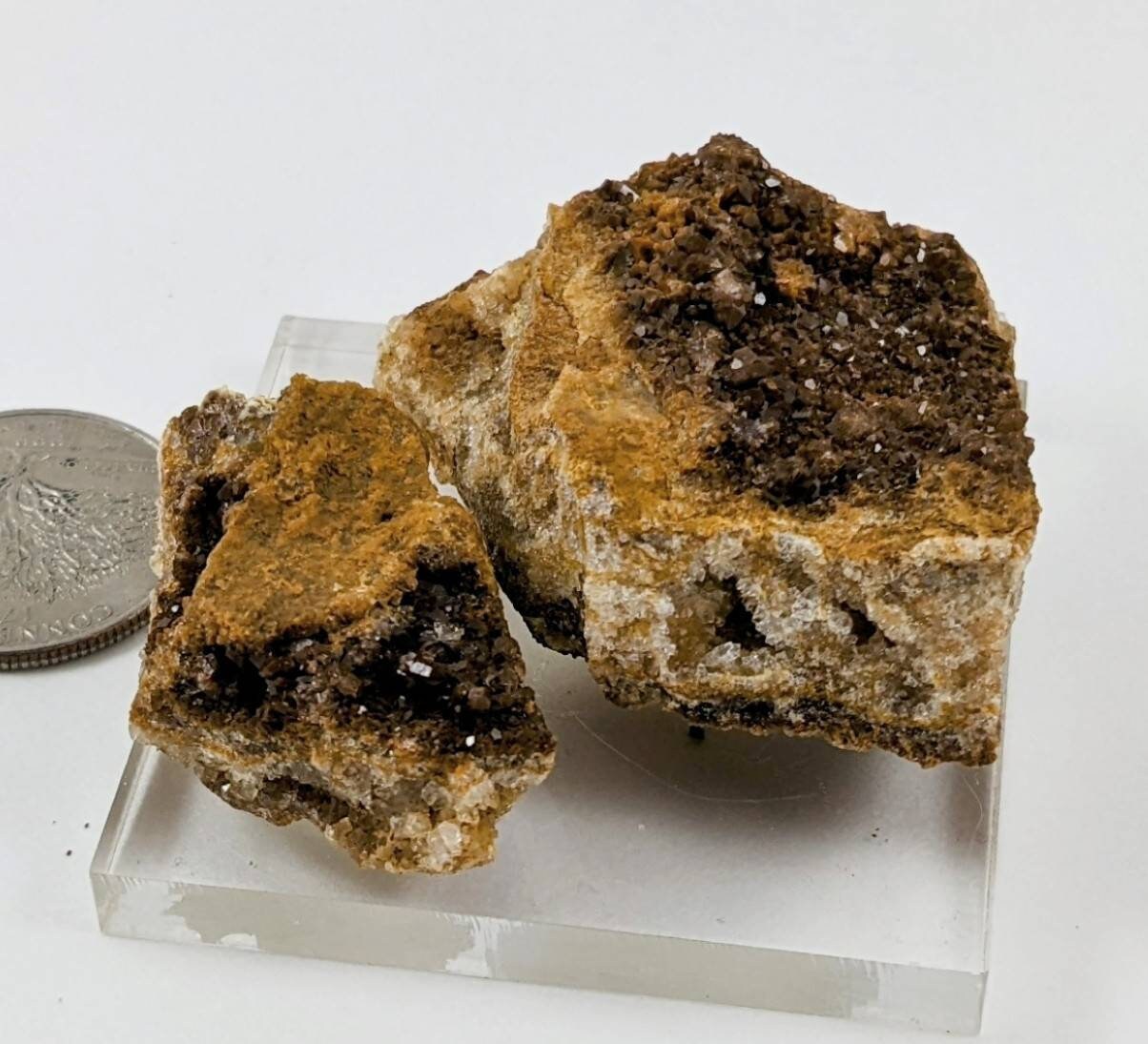 Root Beer Quartz on Acrylic Display Delaware County, PA 2.5 Oz - Etsy