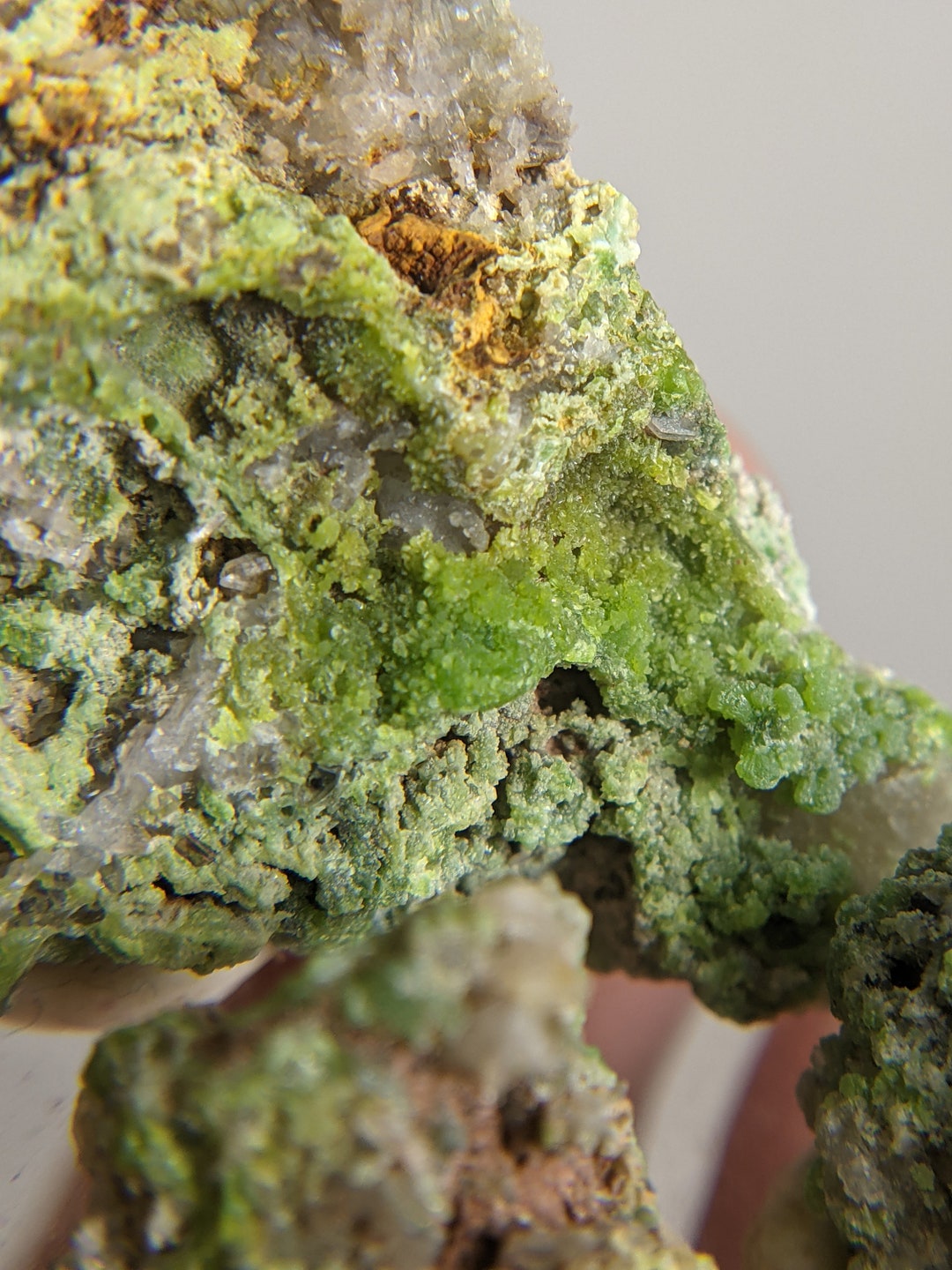 Botryoidal Pyromorphite & Cerrusite on Quartz - Montgomery County, PA ...