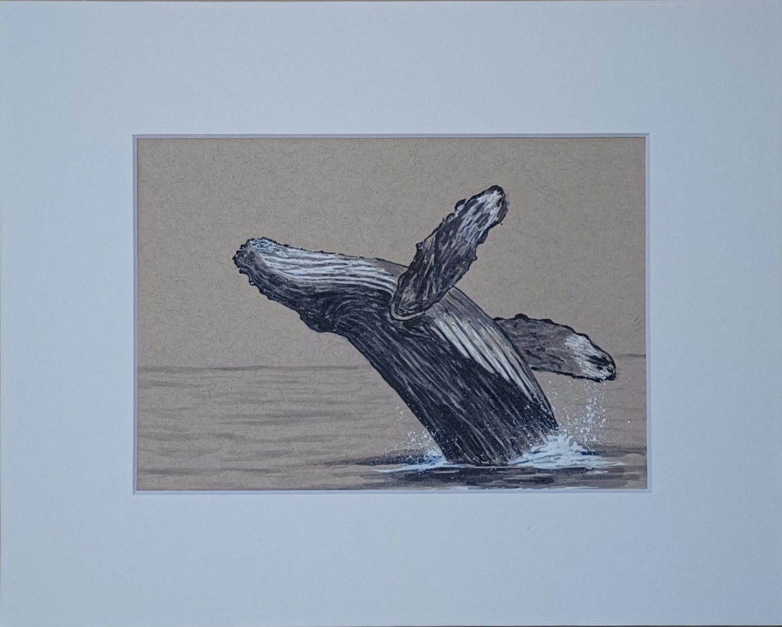 Humpback Whale Art Ink Drawing Print Bedroom Office | Etsy