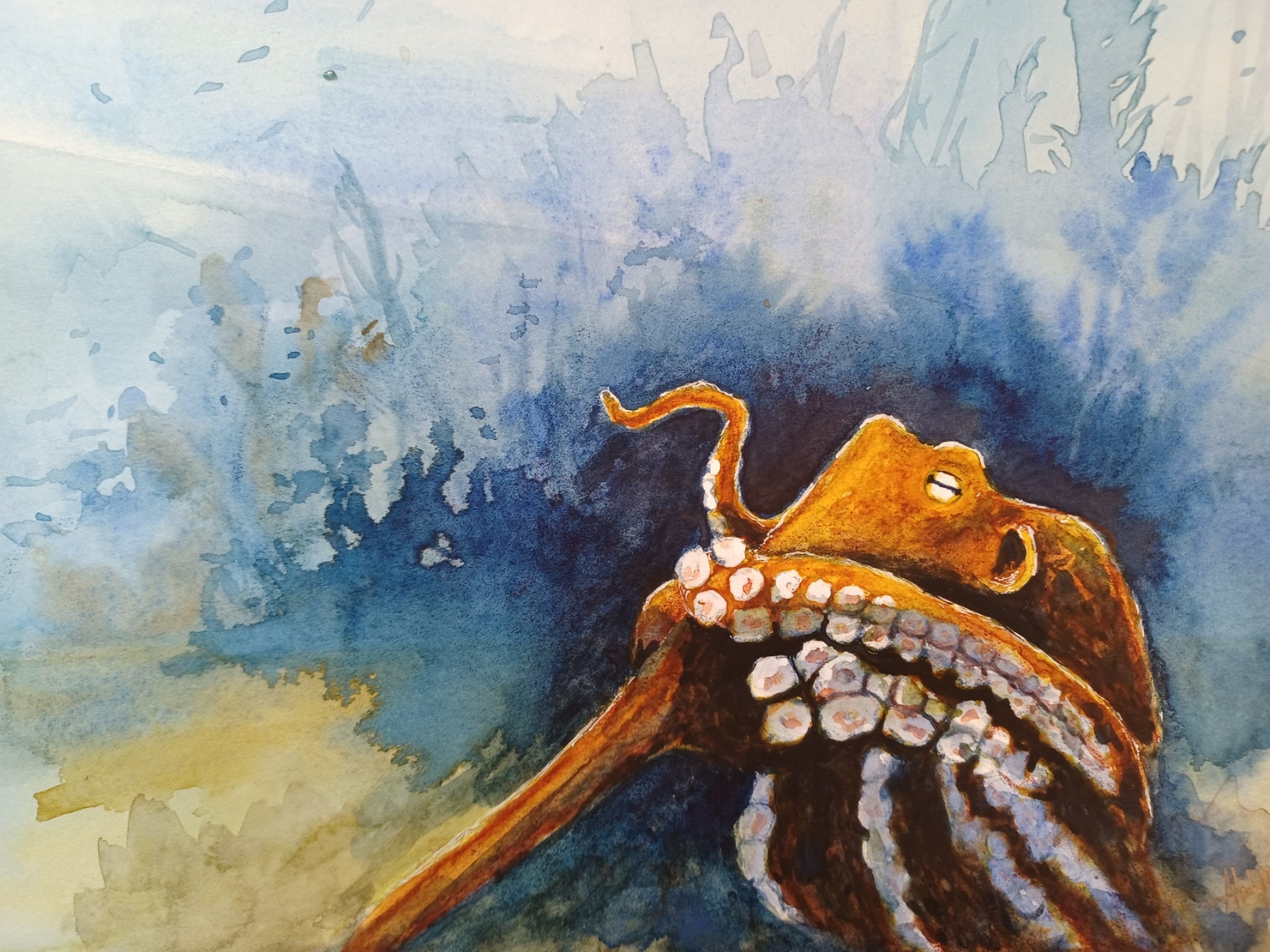 Octopus Original Watercolor Print Ocean Decor Beach Decor - Etsy
