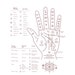 Palmistry & Palm Reading Guide - SVG Template and Image Bundle - Etsy