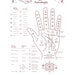 Palmistry & Palm Reading Guide SVG Template and Image Bundle - Etsy Canada