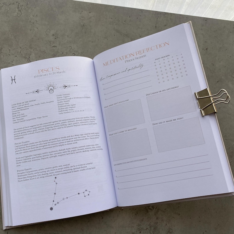 Astrology Planner and Journal 2026 - EST Timezone | PAPERBACK BOOK Sand ...