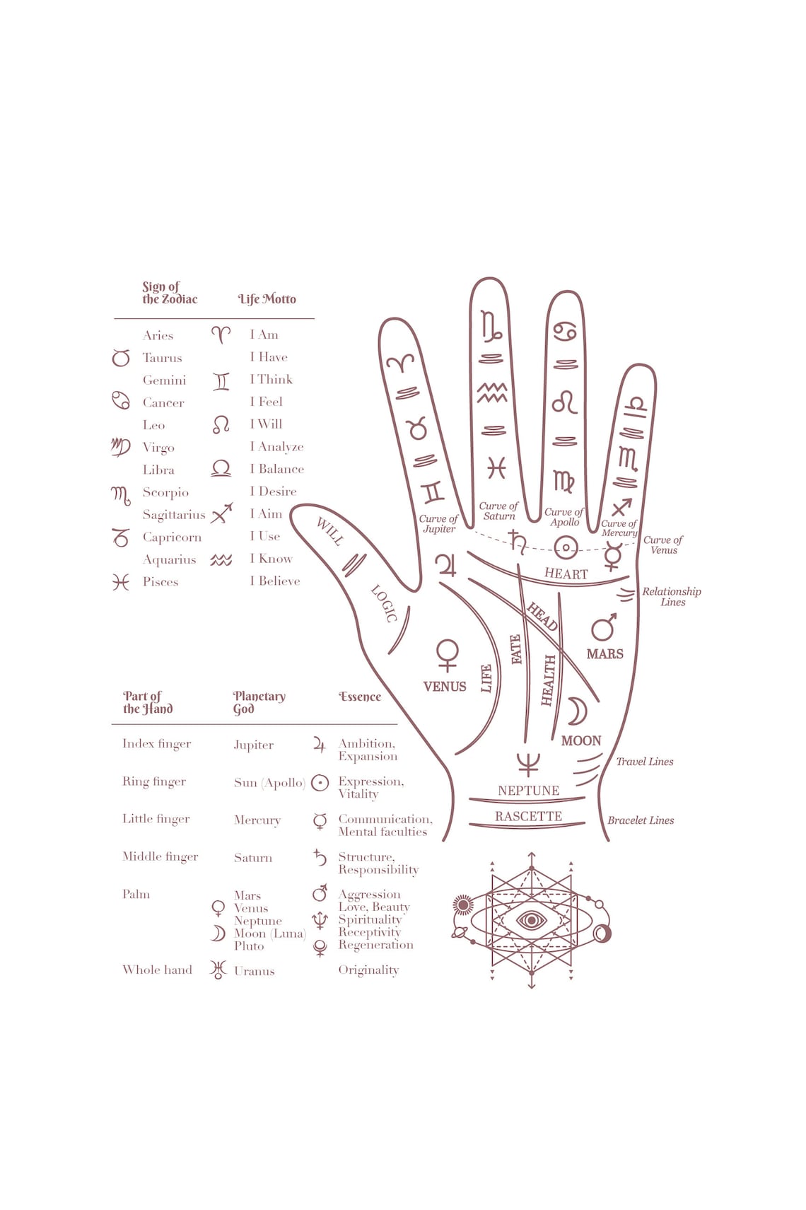Palmistry & Palm Reading Guide SVG Template and Image Bundle - Etsy