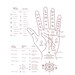 Palmistry & Palm Reading Guide SVG Template and Image Bundle - Etsy Canada