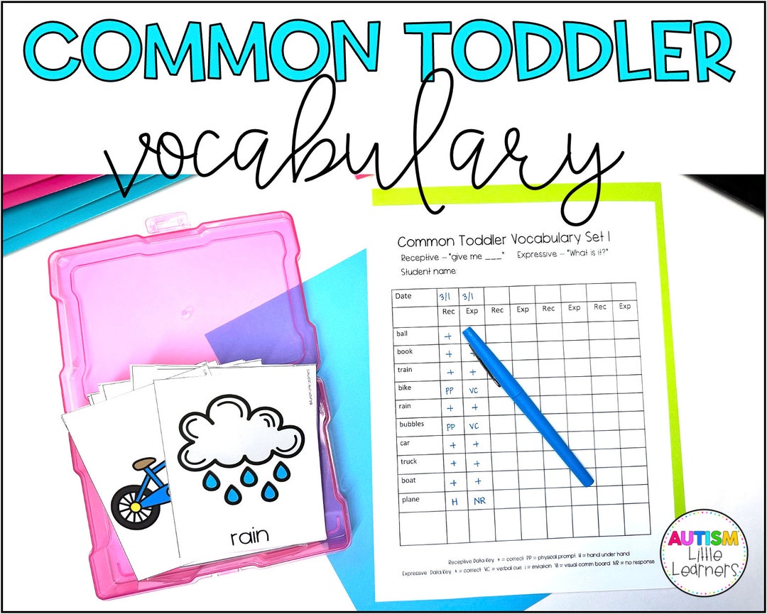 Common Toddler Vocabulary Flashcards - Etsy