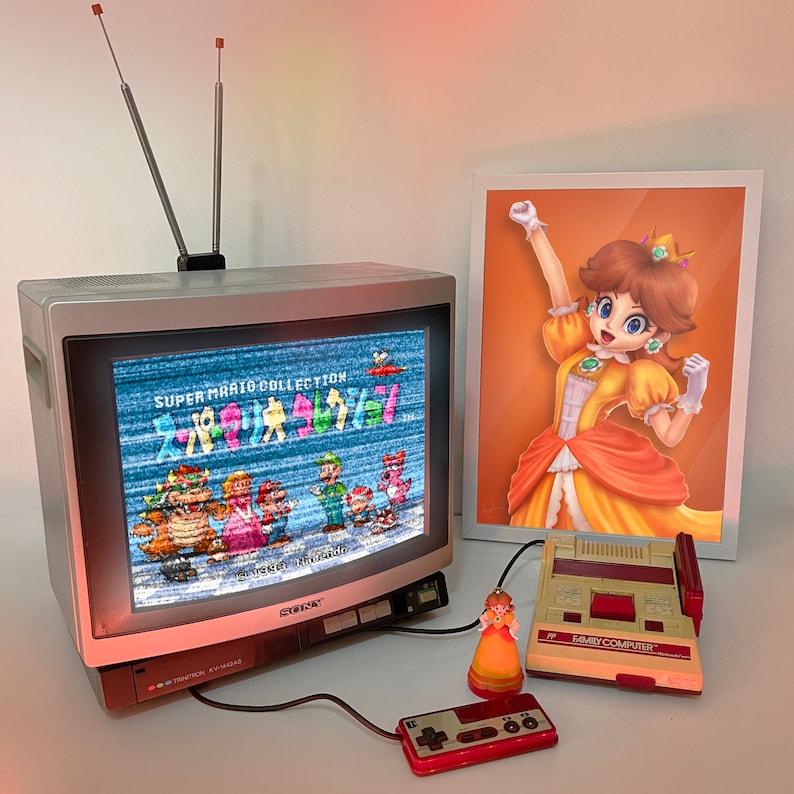 Princess Daisy Artwork - Etsy