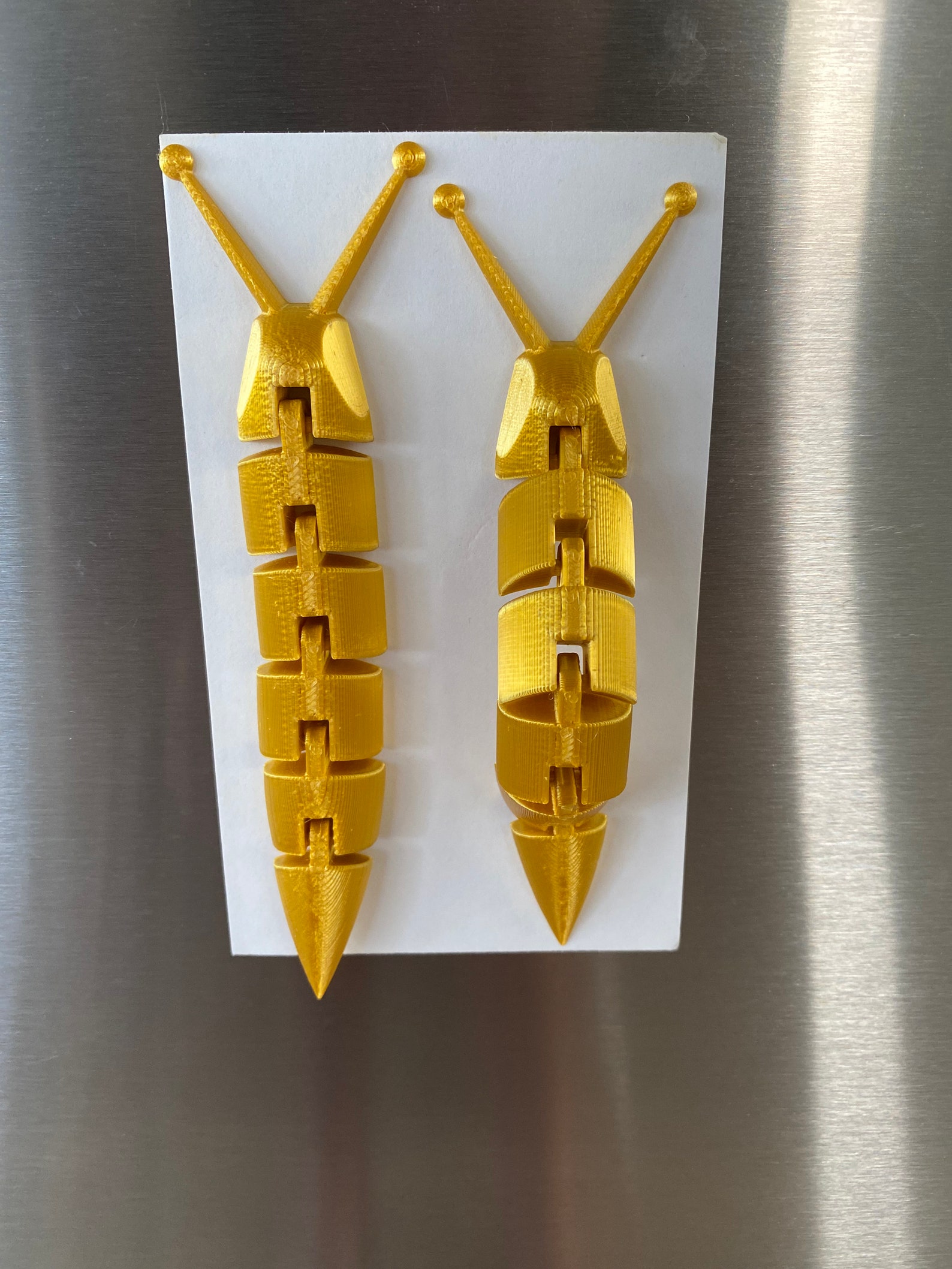 Gold 3d Printed Slug Magnets | Etsy