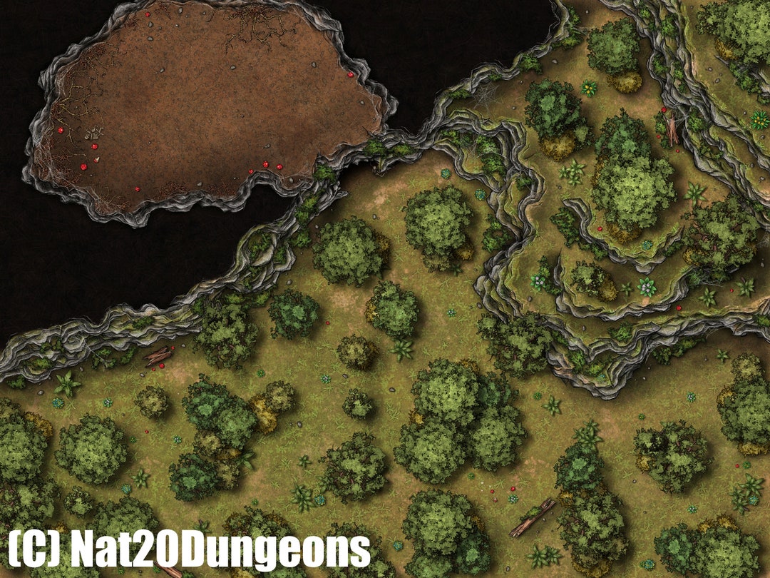 Forest Cave Battle Map, Dnd Battle Map, D&D, Battlemap, Dungeons and ...