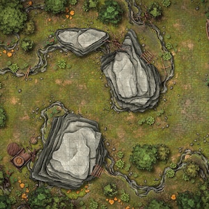 Forest Lakeside Battle Map, Dnd Battle Map, D&D, Battlemap, Dungeons ...
