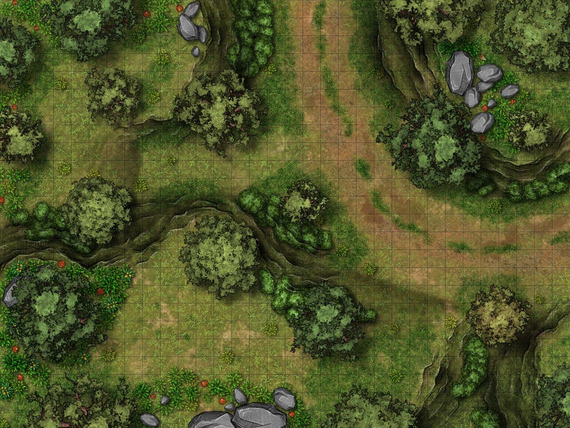 Forest Road Battle Map: Dnd 5e, VTT RPG (digital Map) - Etsy
