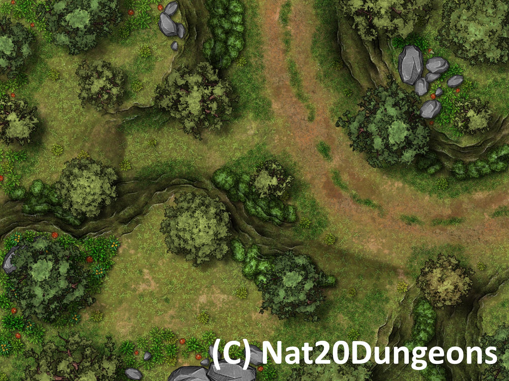Forest Road Encounter, Dnd Battle Map, D&D, Battlemap, Dungeons and ...