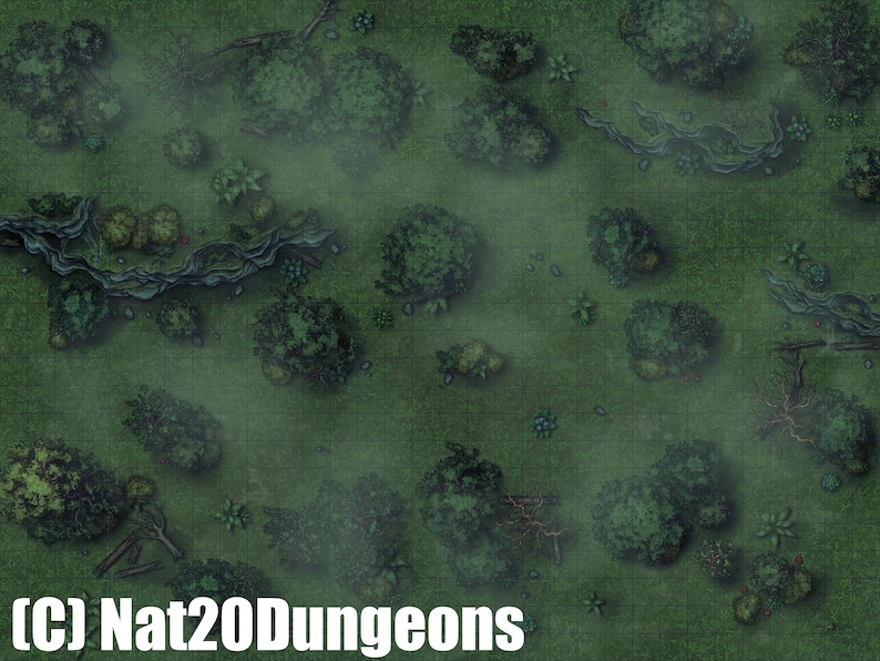 Forest Battle Map, Dnd Battle Map, D&D, Battlemap, Dungeons and Dragons ...