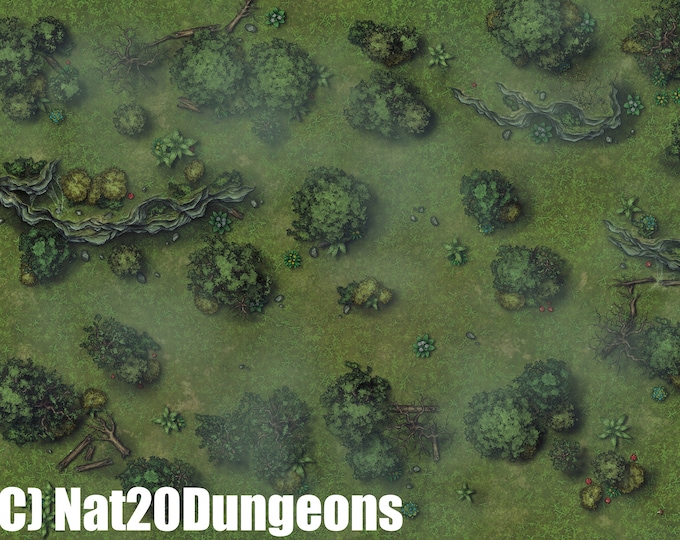 Forest Clearing Battle Map, Dnd Battle Map, D&D, Battlemap, Dungeons ...