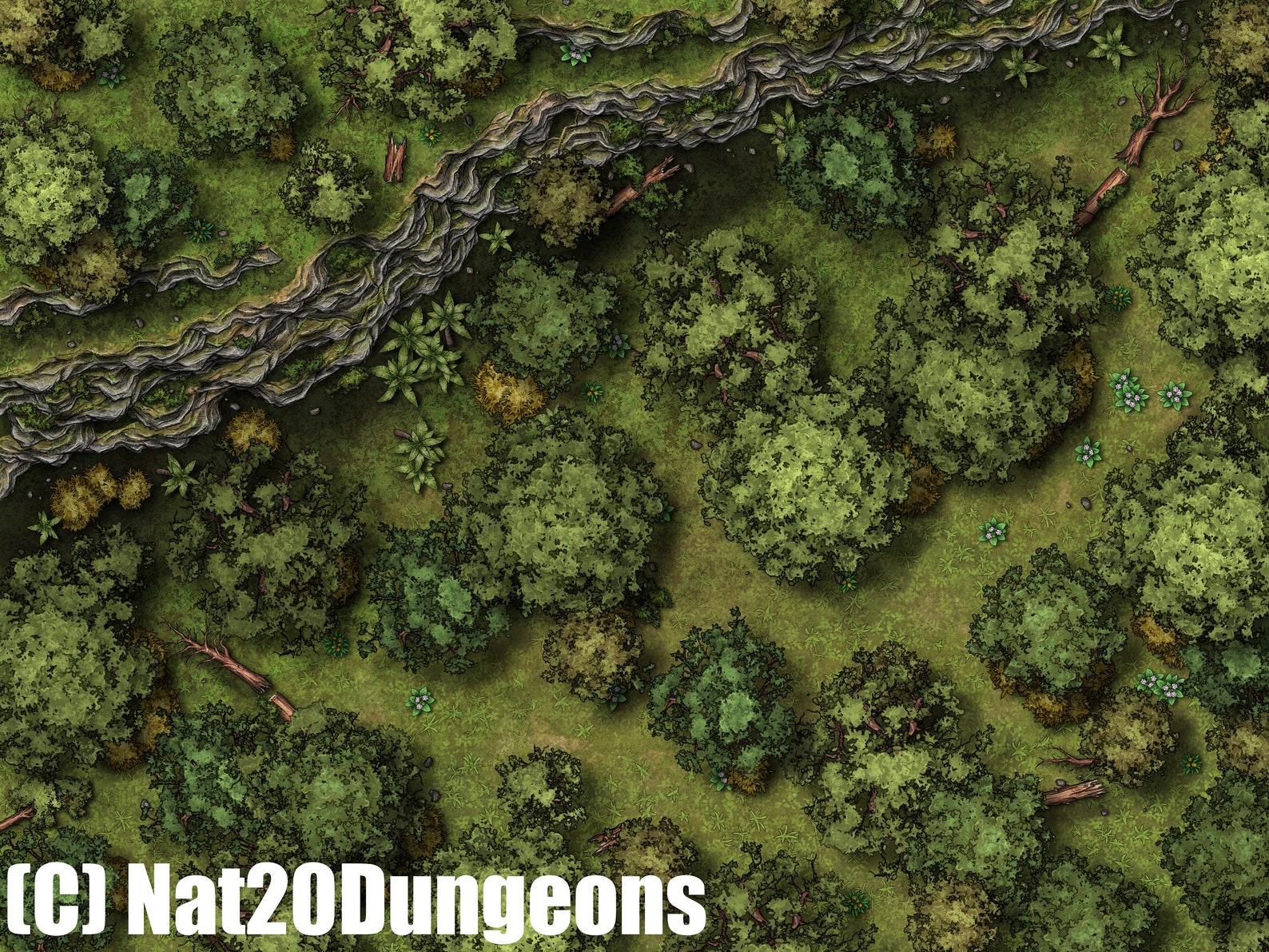 Forest Cliff Battle Map, Dnd Battle Map, D&D, Battlemap, Dungeons and ...