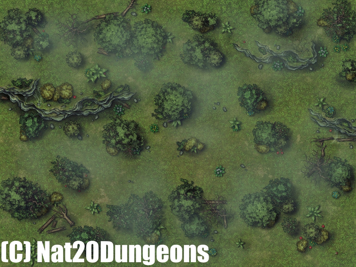 4 Map Bundle Forest Battle Map Pack 2, Dnd Battle Map, D&D, Battlemap ...