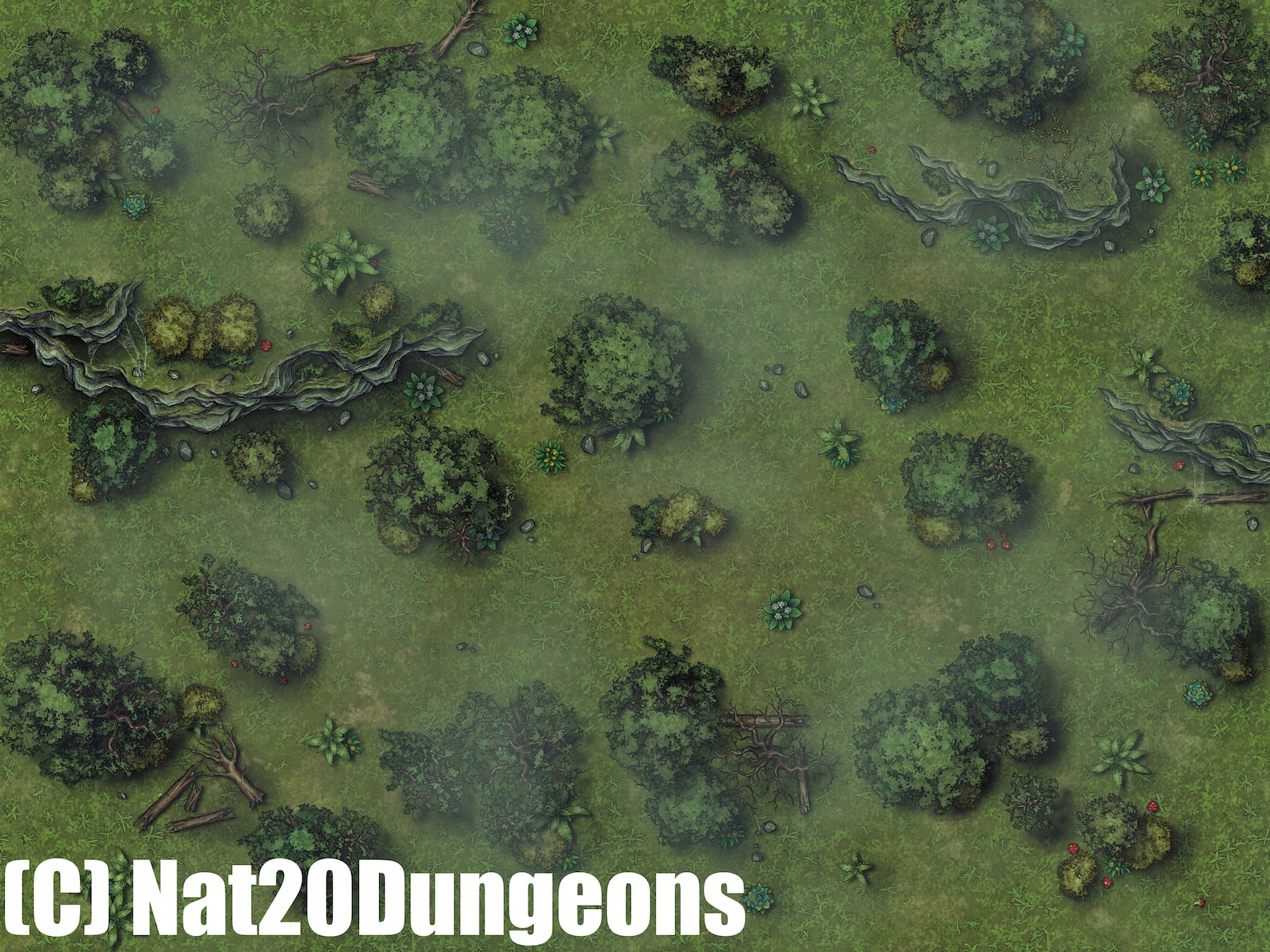 4 Map Bundle Forest Battle Map Pack 2, Dnd Battle Map, D&D, Battlemap ...